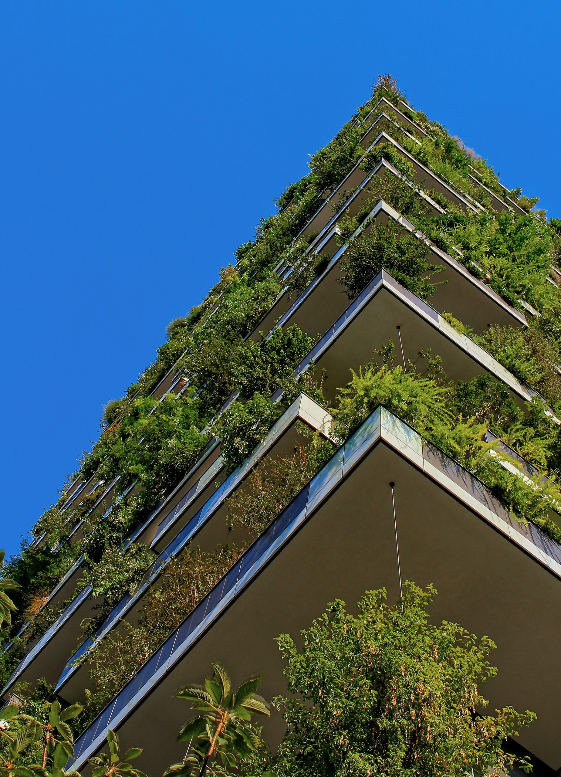 Why should nature-based solutions matter to a real estate investor ...